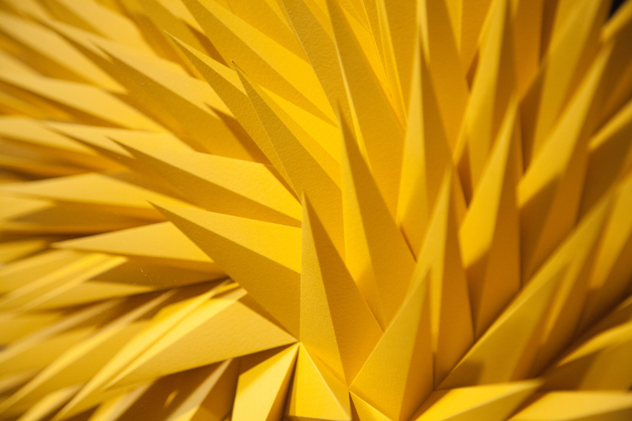 'Nautic' | Paper Sculpture | LetovBarski